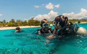 Work as a Divemaster Full-Time: Is it Possible? – 3W Divemaster
