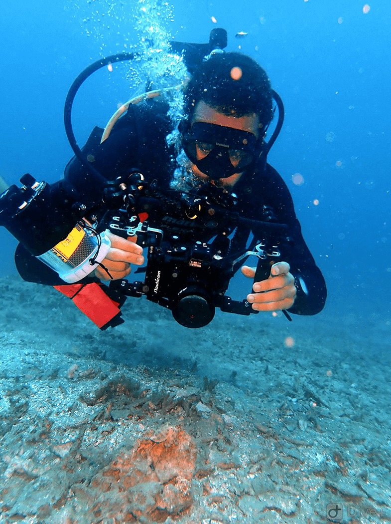 Macro Mania - Finding the Hidden Treasures of the Underwater World