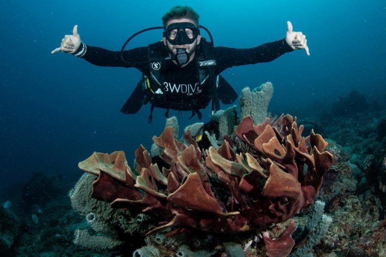 How to Choose a Marine Conservation Diving Internship – Gili Islands ...