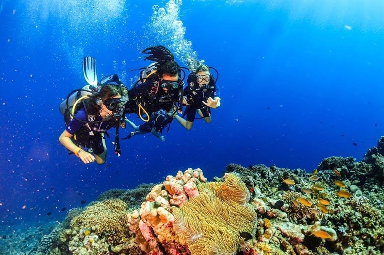 Coral Reef Diversity: Adding life to our Dives – 3W Divemaster