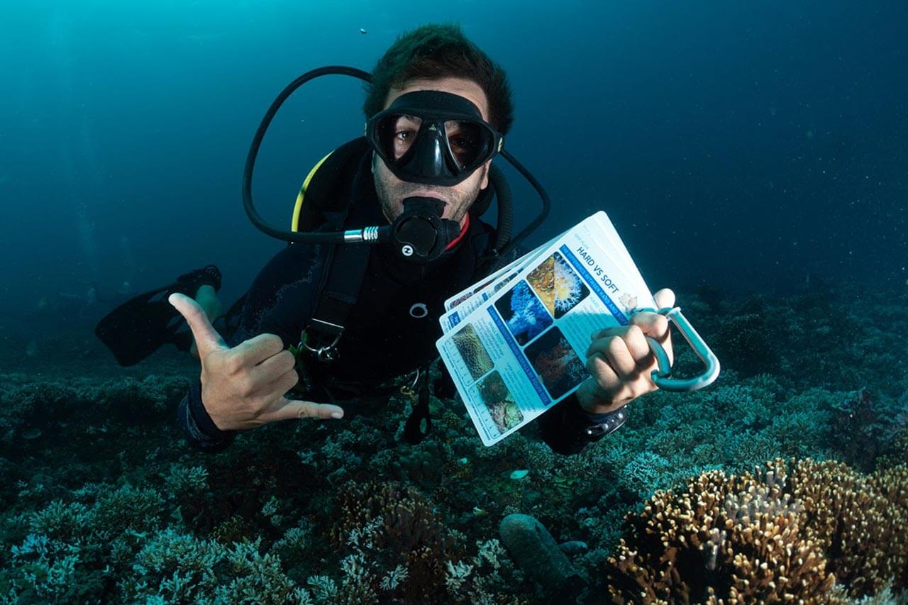 Sustainable Coral Farming & Why It's Important – 3W Divemaster